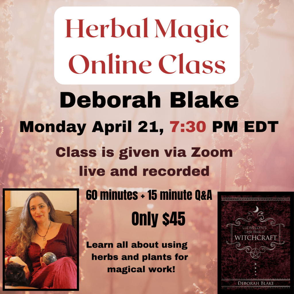 Deborah Blake | Crafting magic in fact and fiction